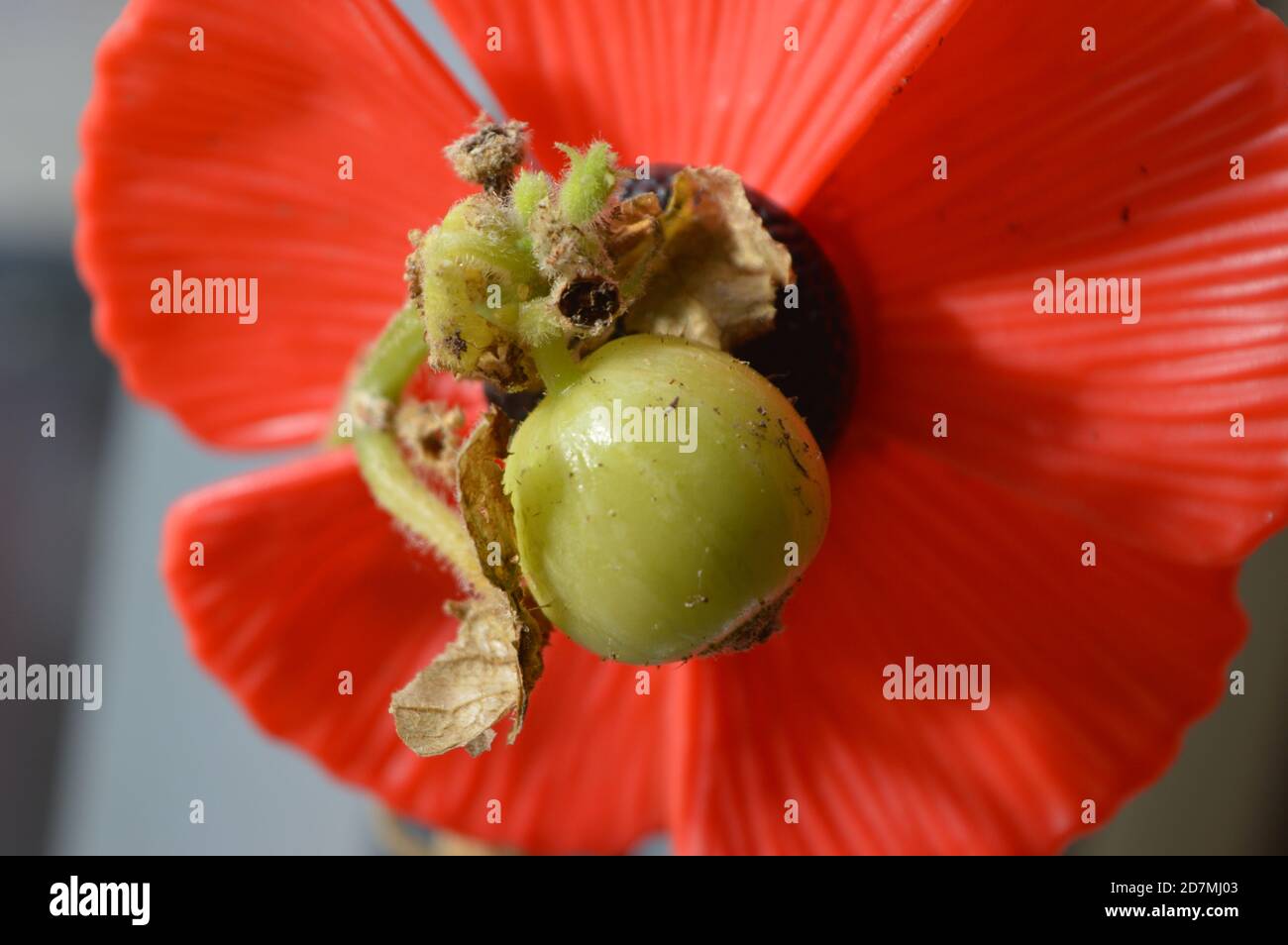 Breathtaking - Waterfall - Serene - Animals at Play - Energy - Crystal ...