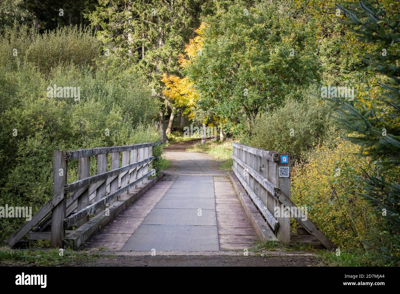The Lakeside Way at Kielder Forest and Water, Northumberland, England ...
