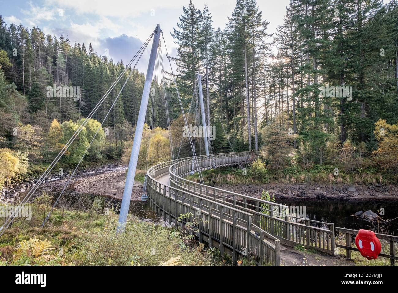 The Lakeside Way at Kielder Forest and Water, Northumberland, England ...