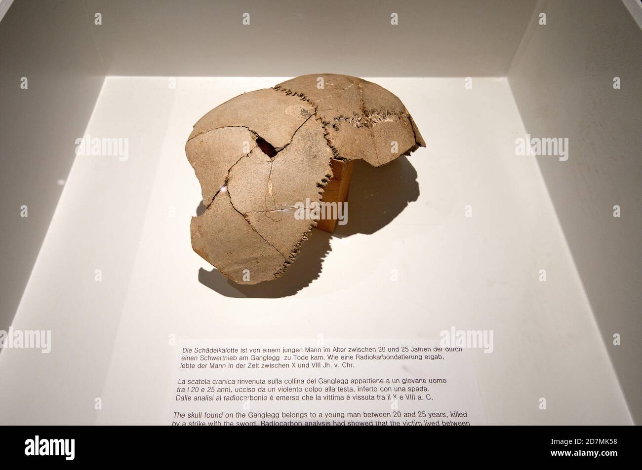 Homo sapiens sapiens skull hi-res stock photography and images - Alamy