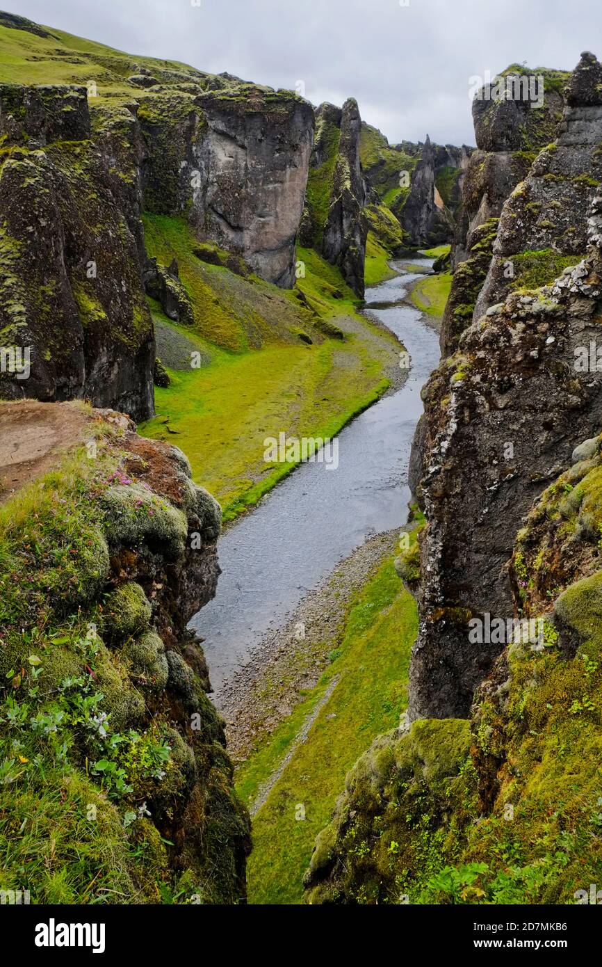Fjaðrárgljúfur is a magnificent and massive canyon, about 100 meters ...