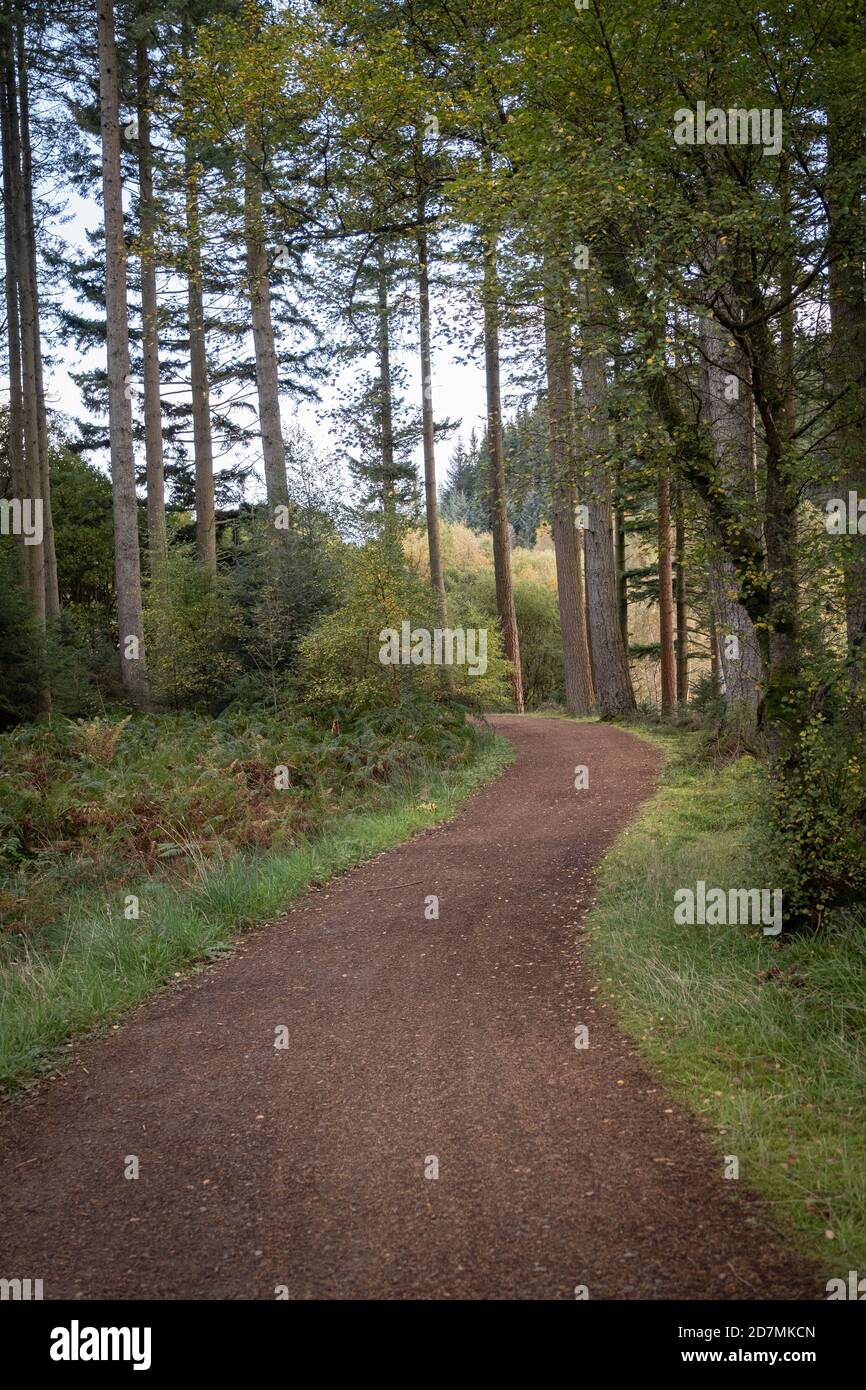 The Lakeside Way at Kielder Forest and Water, Northumberland, England ...