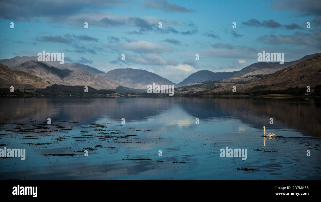 the calming waters of loch Eil Stock Photo - Alamy