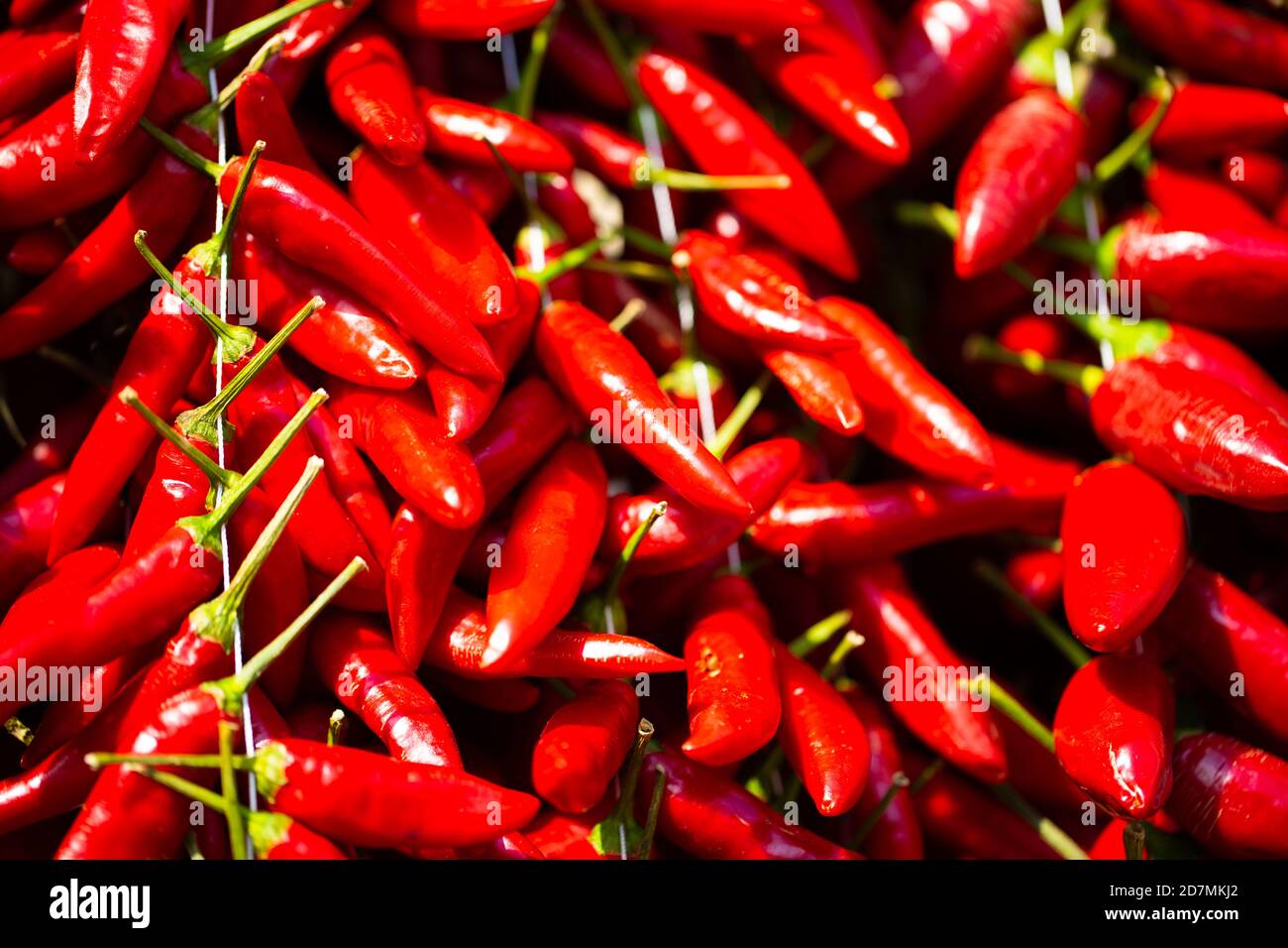 red pepperoni as a background Stock Photo - Alamy