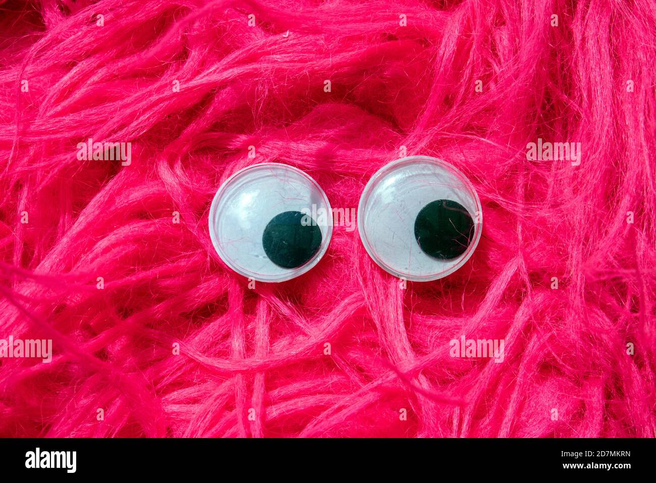 Boggle eyes hi-res stock photography and images - Alamy