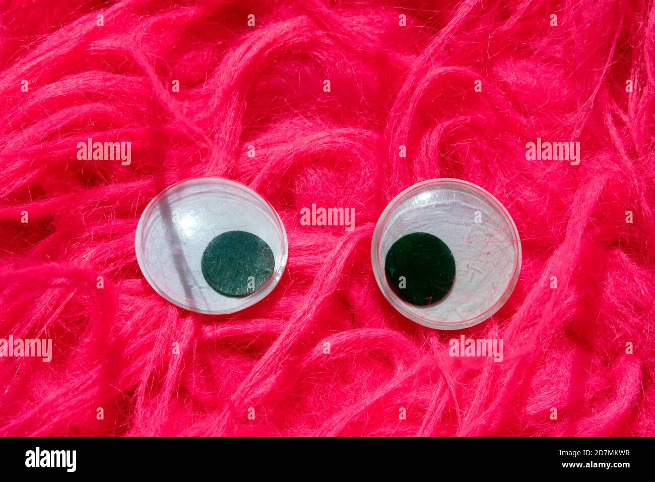 Boggle eyes hi-res stock photography and images - Alamy