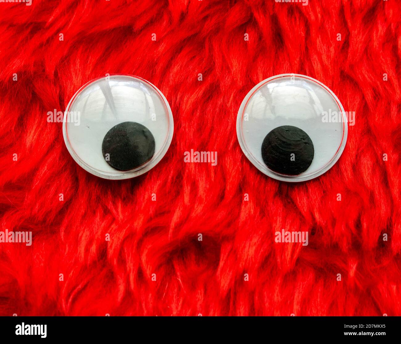 Boggle eyes hi-res stock photography and images - Alamy