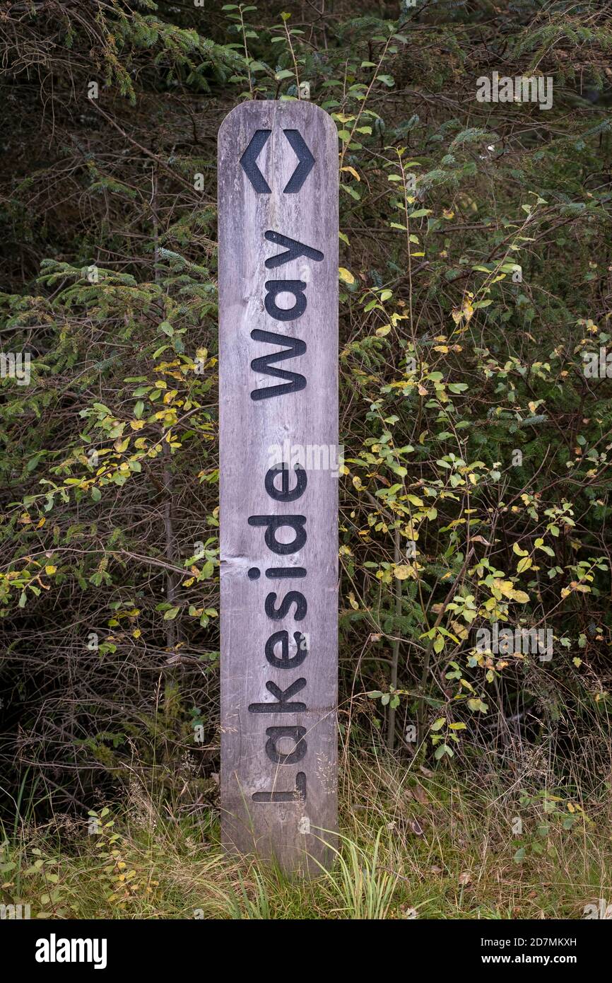 The Lakeside Way at Kielder Forest and Water, Northumberland, England ...