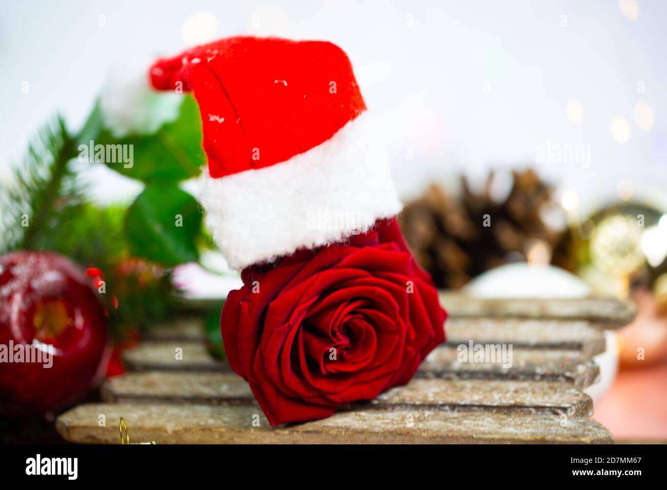 red rose with santa hat, christmas card Stock Photo - Alamy
