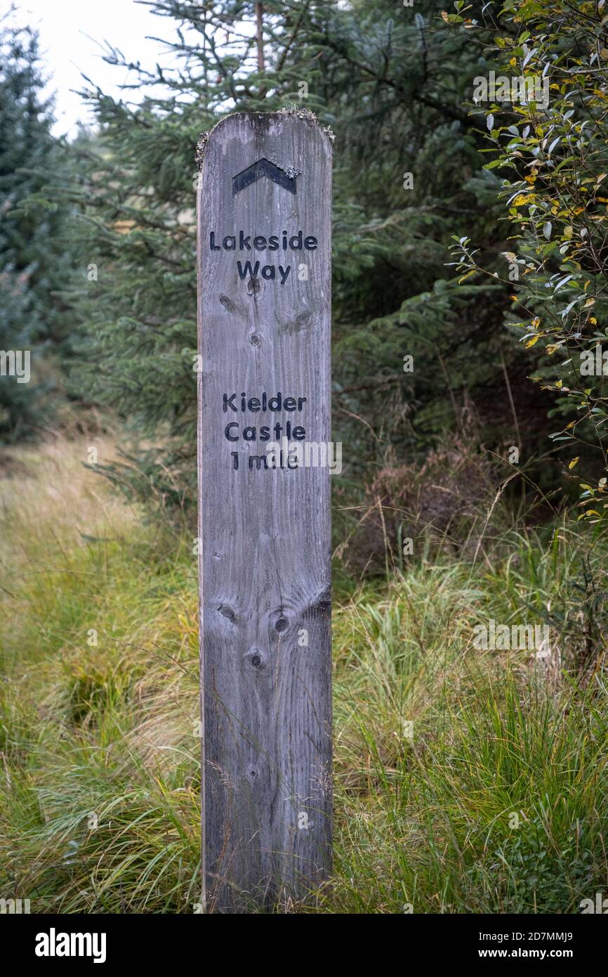 The Lakeside Way at Kielder Forest and Water, Northumberland, England ...