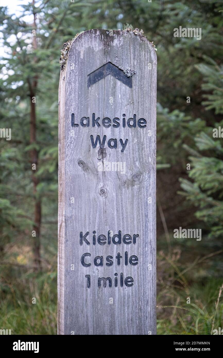 The Lakeside Way at Kielder Forest and Water, Northumberland, England ...