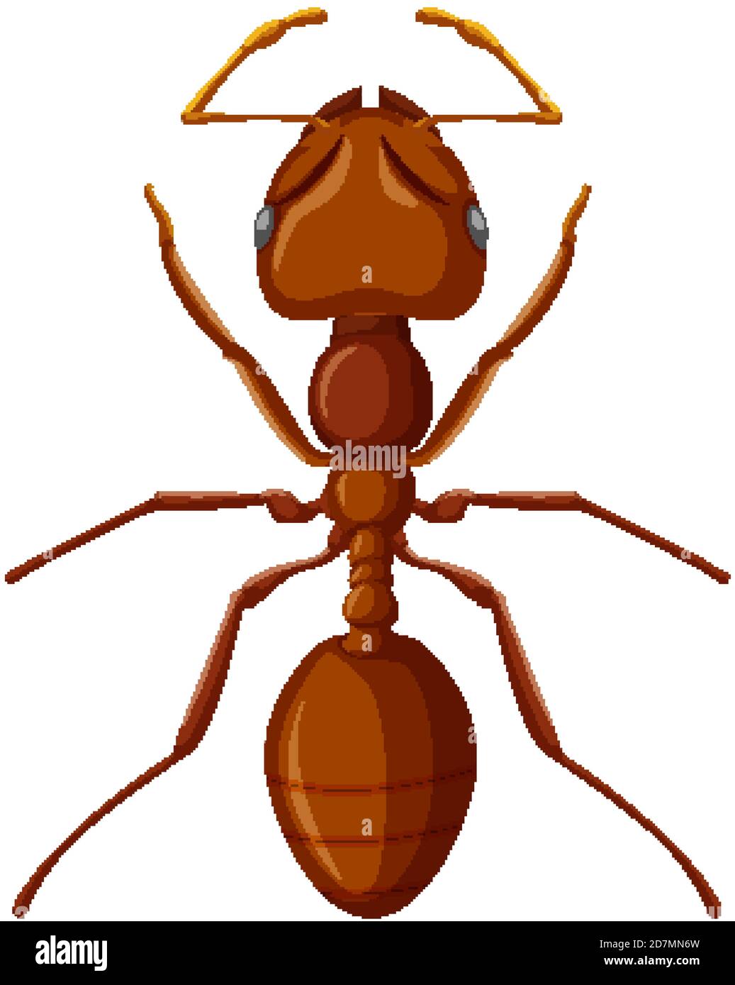 Fire ant isolated on white background illustration Stock Vector Image ...