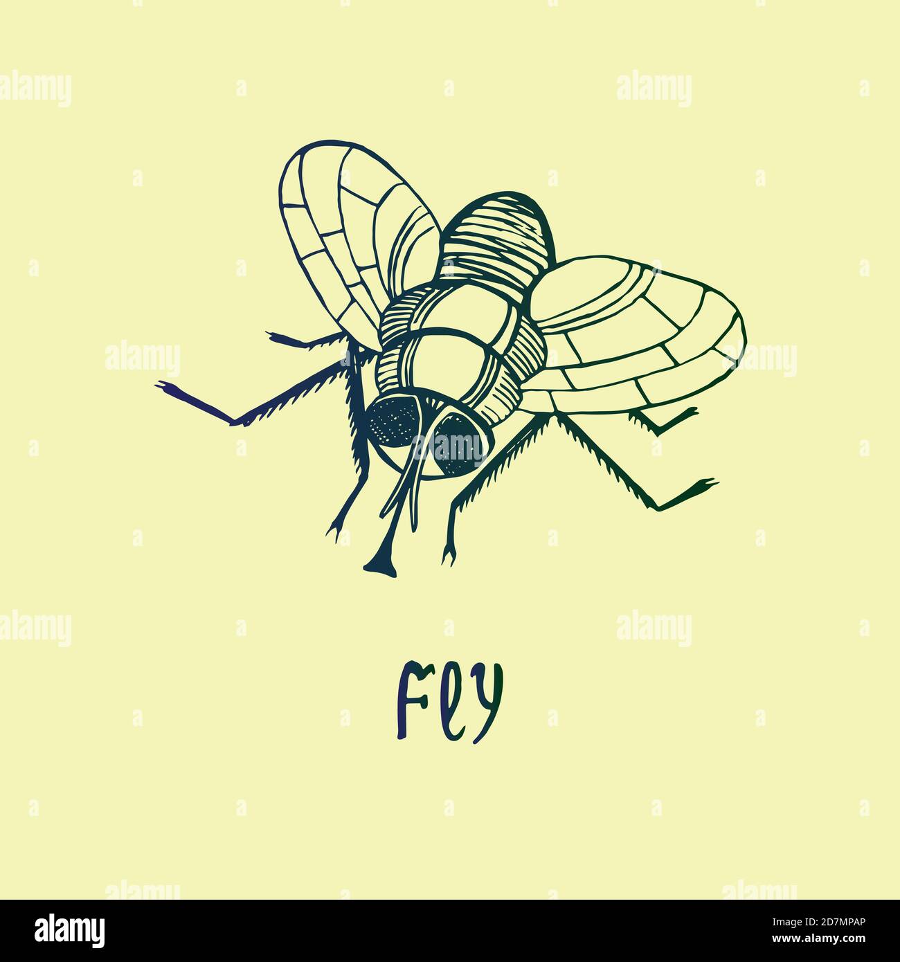 Cartoon character of fly with inscription, hand drawn doodle sketch ...