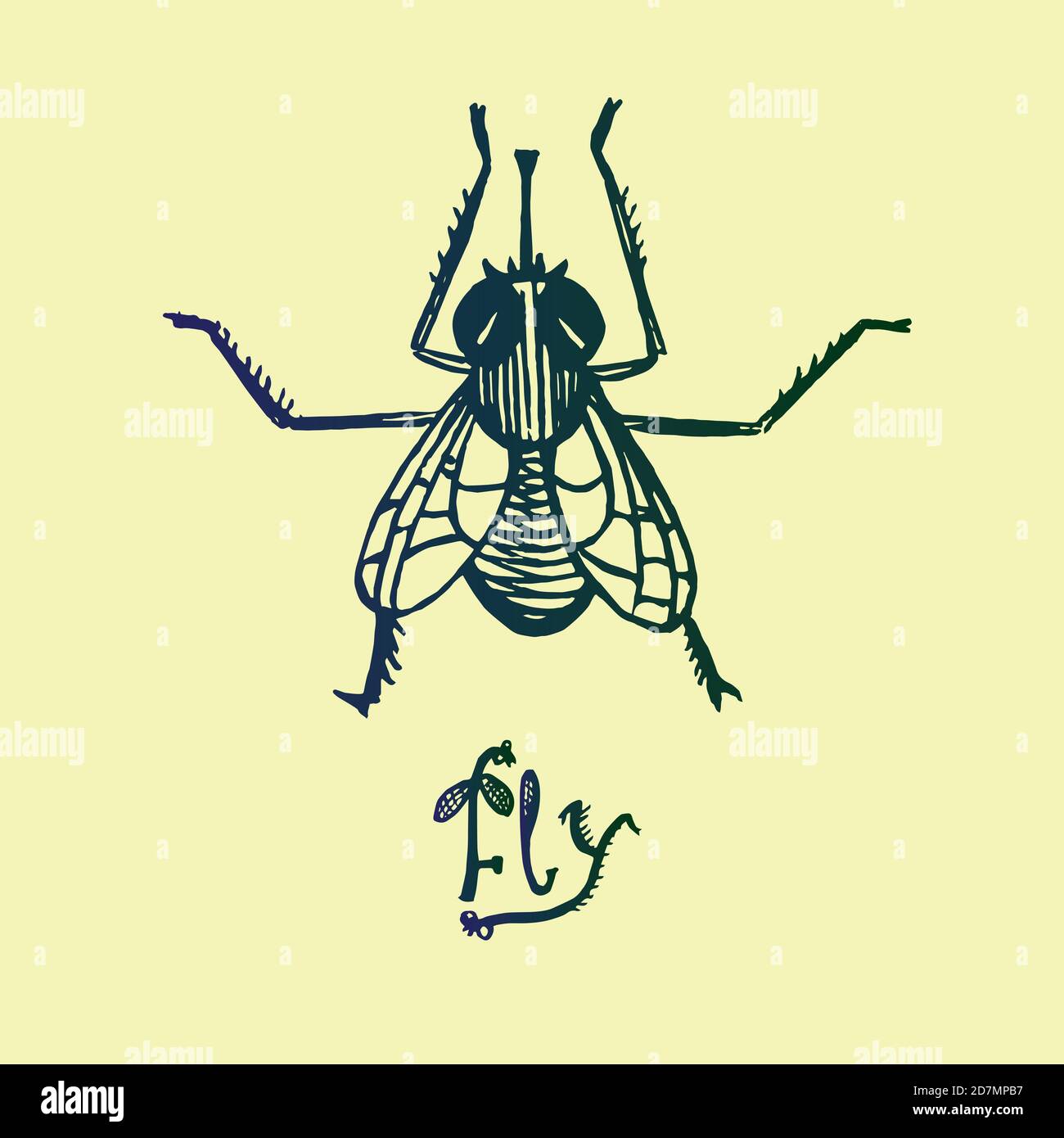 Cartoon character of fly with inscription, top view, hand drawn doodle ...