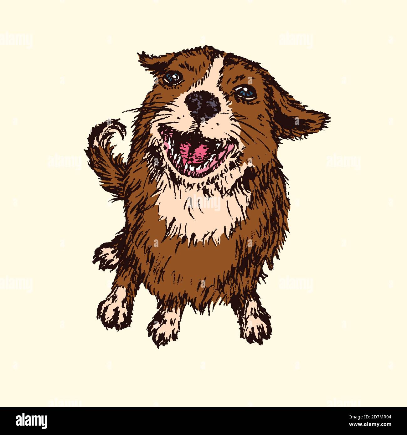 Happy dog, top view, hand drawn doodle sketch, isolated color ...