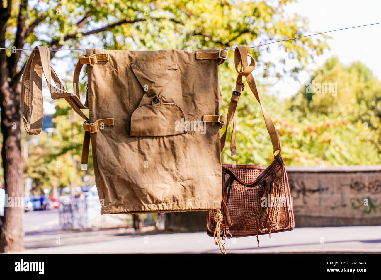 Old bags hanging in the garden Stock Photo - Alamy