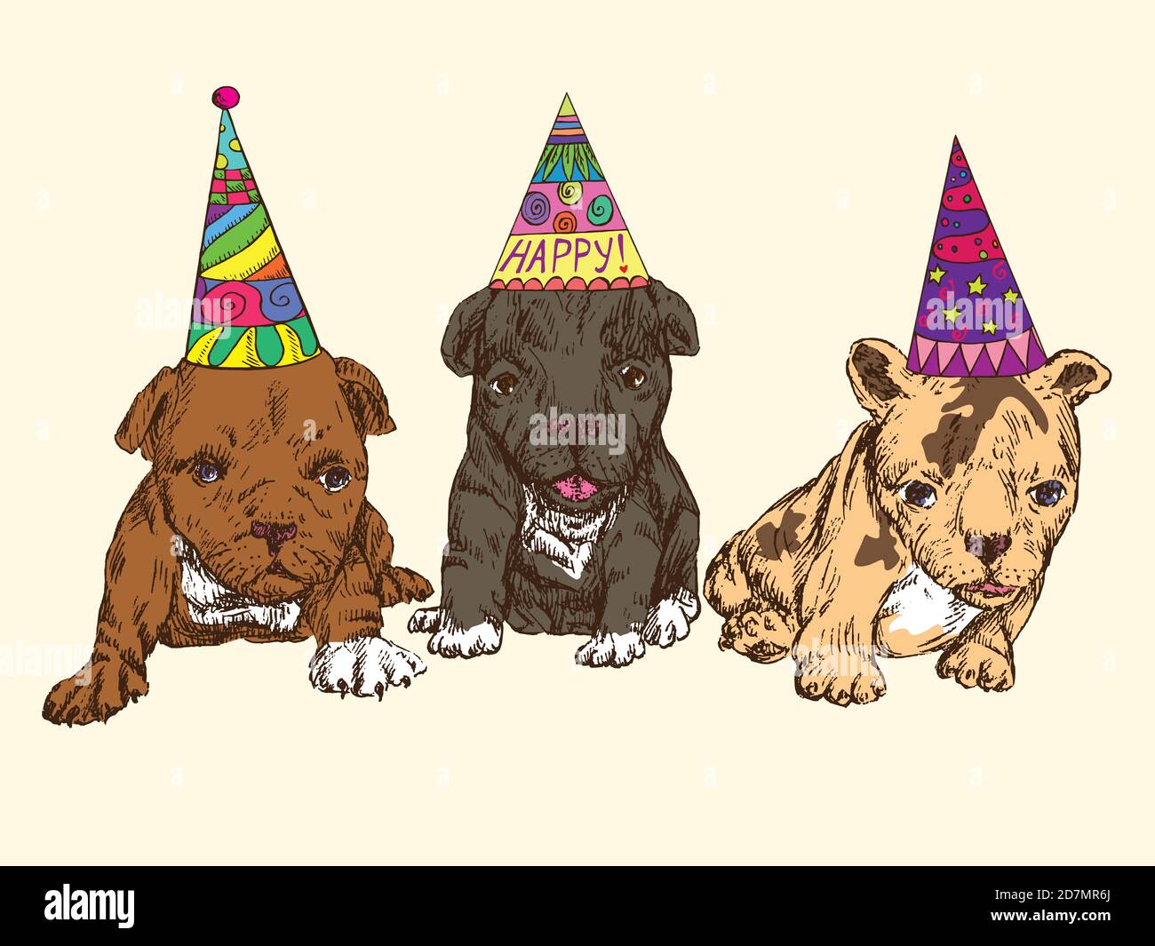 Three happy puppies in party hat, brown with white patches, hand drawn ...