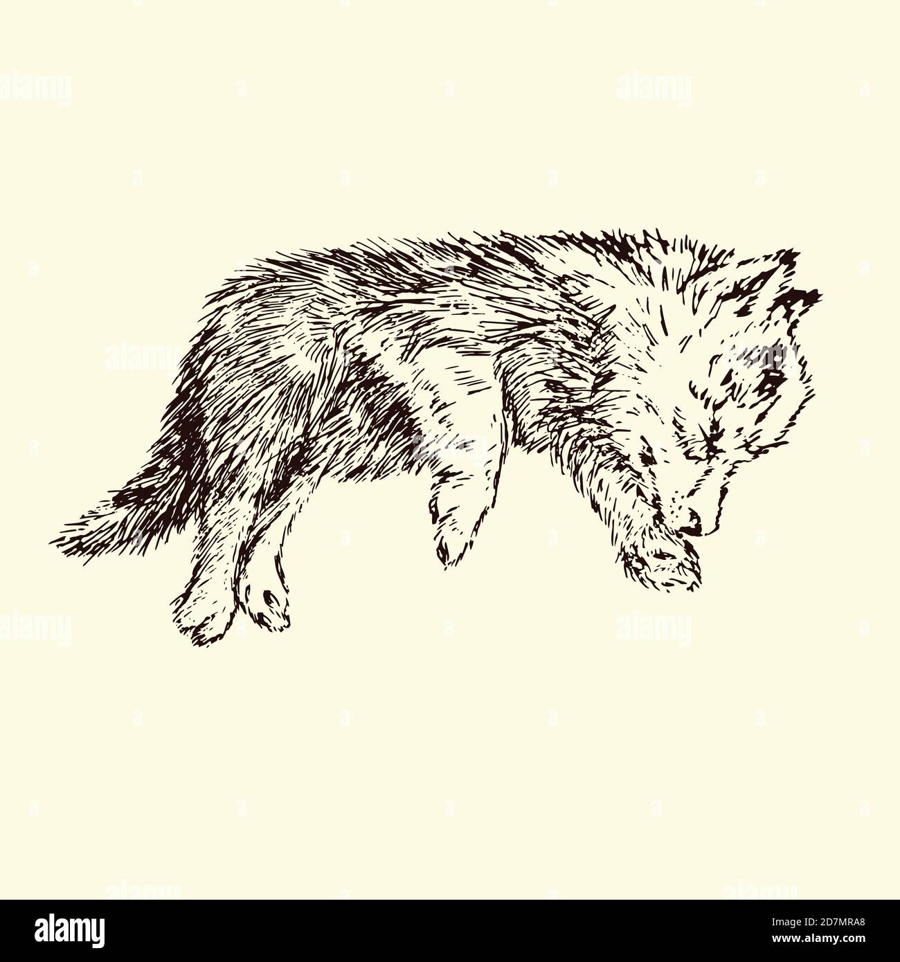 Husky puppy sleeping, hand drawn doodle sketch, isolated outline ...