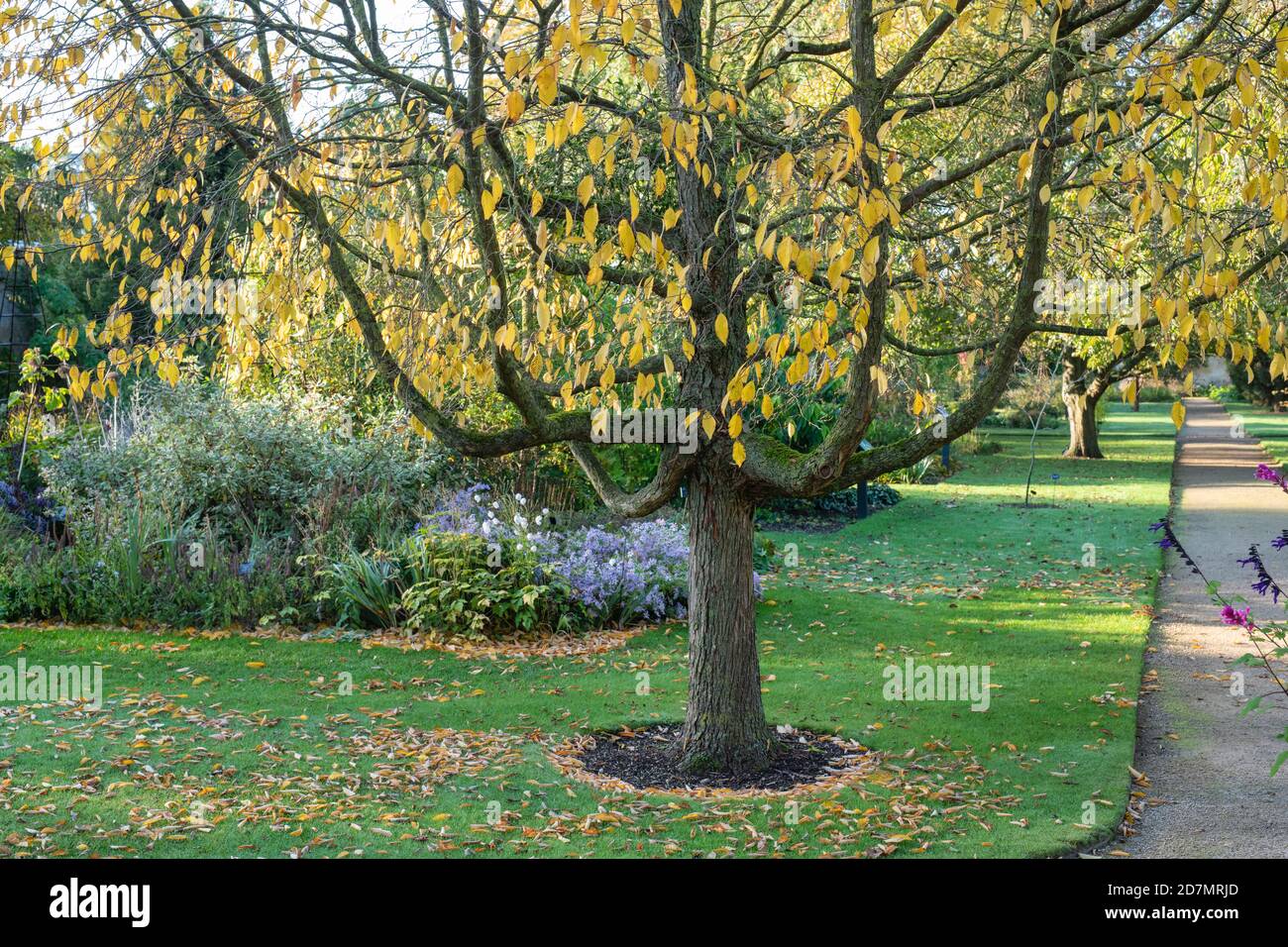 Oxford botanical gardens in the autumn. Oxford, Oxfordshire, England ...