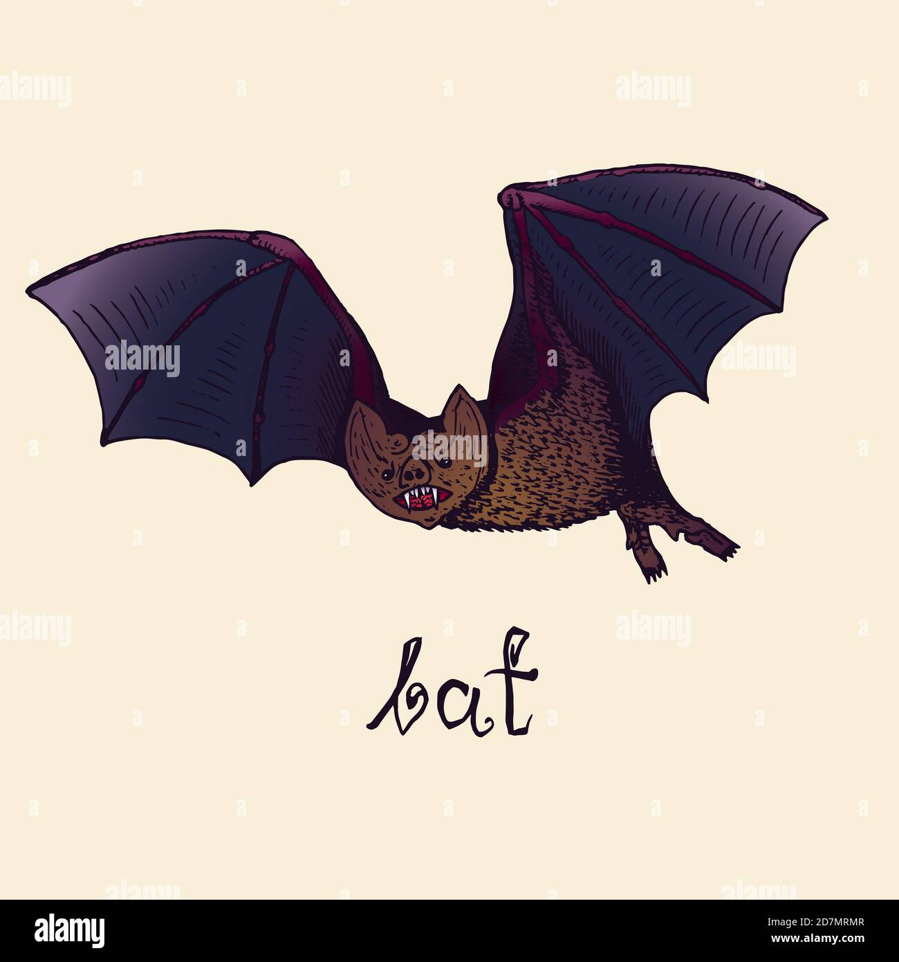 Bat with inscription, woodcut style design, hand drawn doodle, sketch ...
