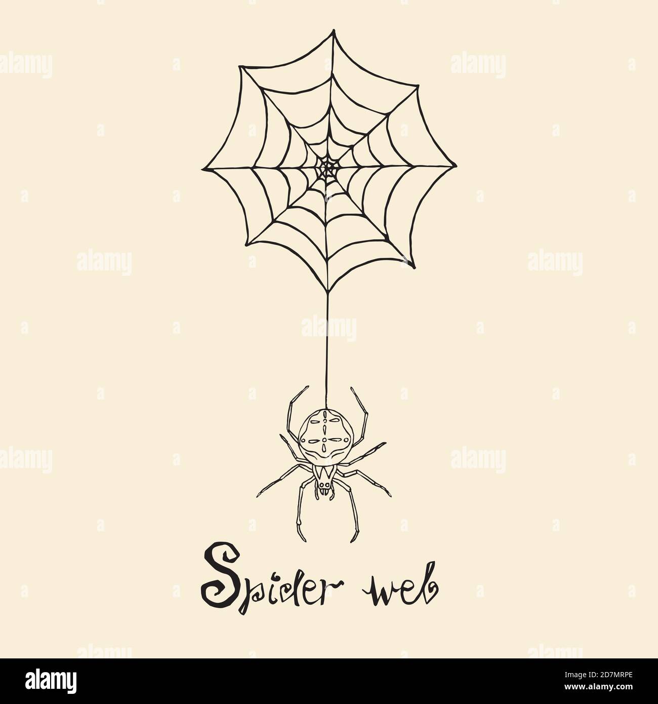 Spider and web with inscription in woodcut style design. Hand drawn ...