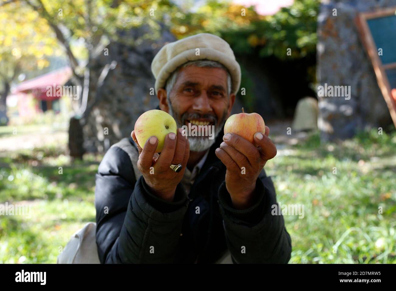 Skardu. 18th Oct, 2020. A man shows harvested apples in Skardu in ...