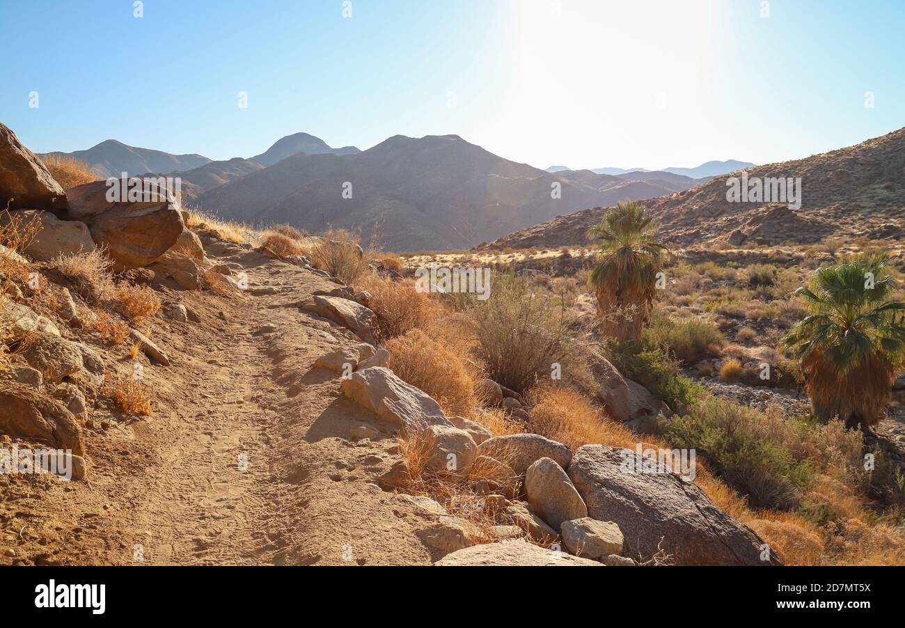 Murray canyon palm springs hi-res stock photography and images - Alamy