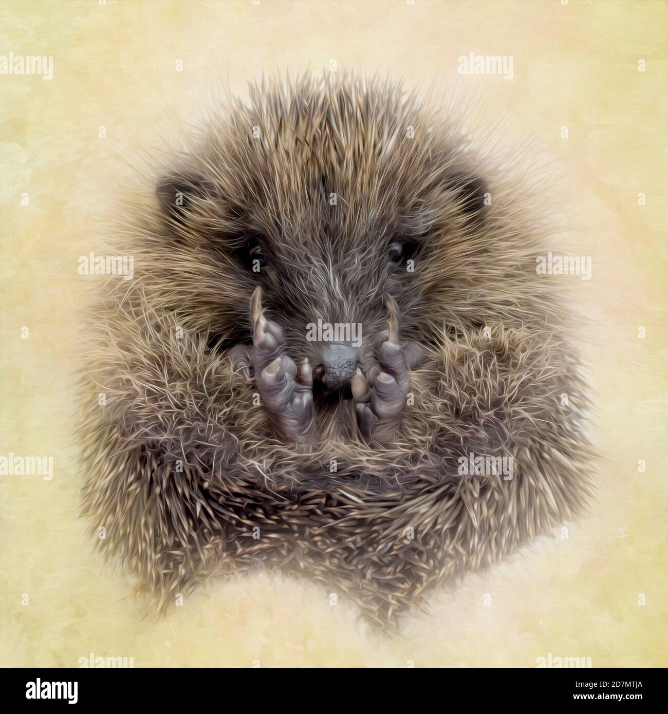 Baby Hedgehog with Oil Paint effect and textures Stock Photo - Alamy