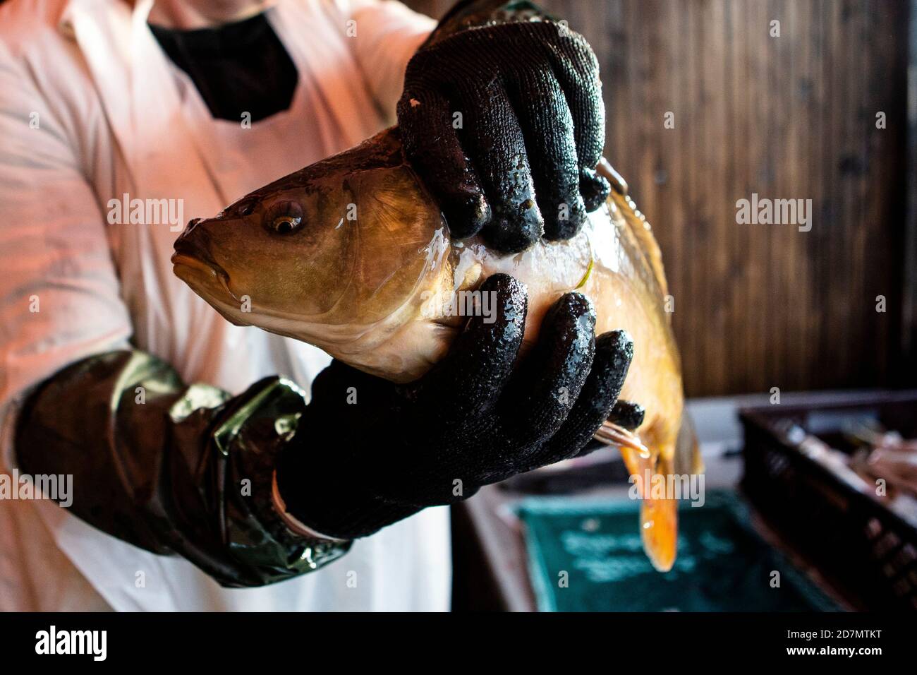 Germany. 24th Oct, 2020. A helper presents customers with a carp ...