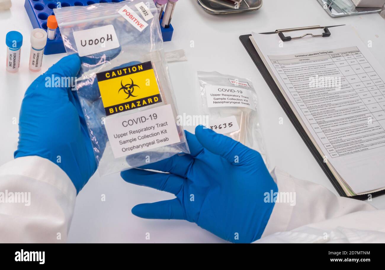 Nurse comparing positive covid-19 test results of infected persons ...