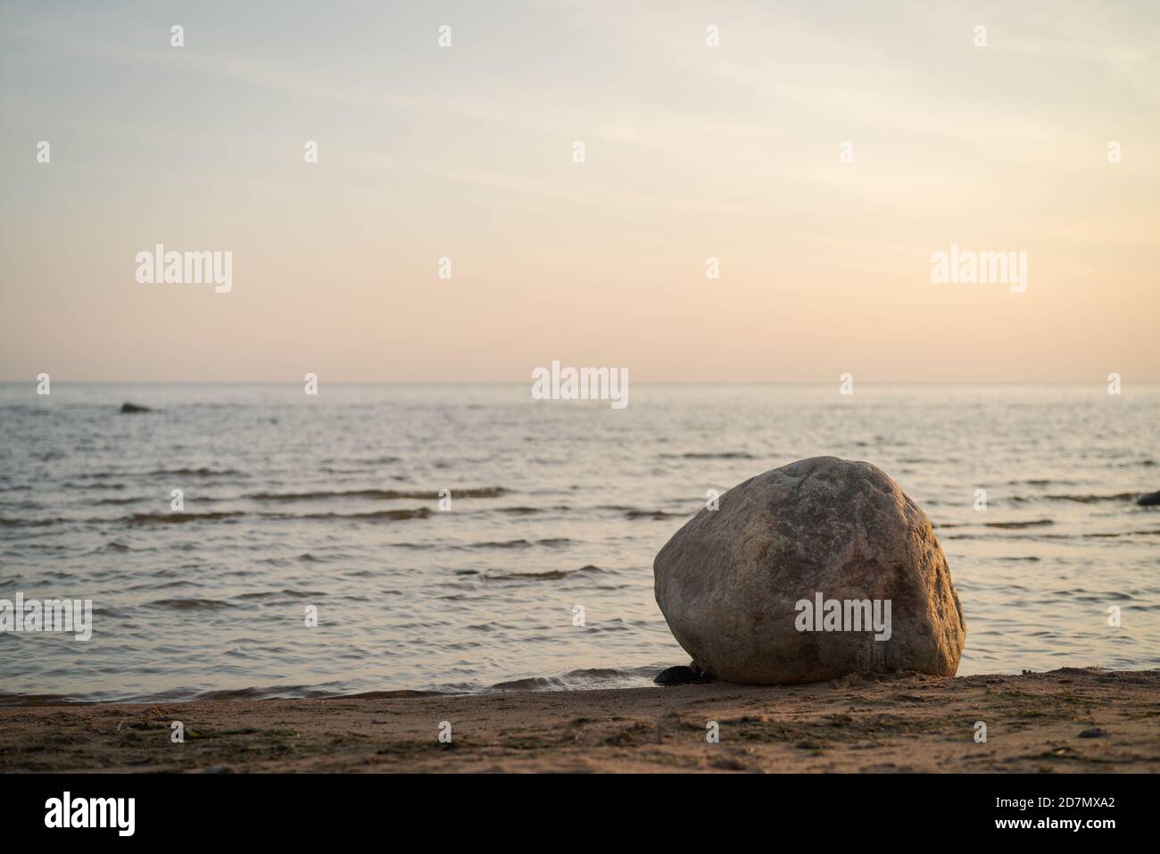 Stone on a beach hi-res stock photography and images - Alamy