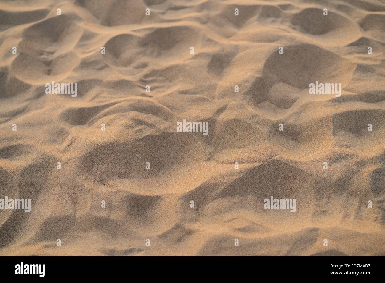 beach sand in sunset light, background photo Stock Photo - Alamy