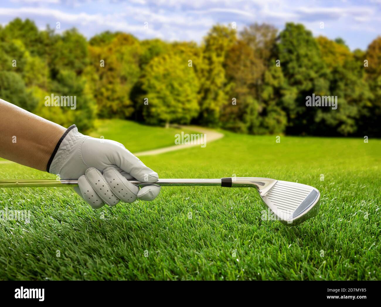 Golfer hand in glove holding a club, close up view. Golf course, blue ...