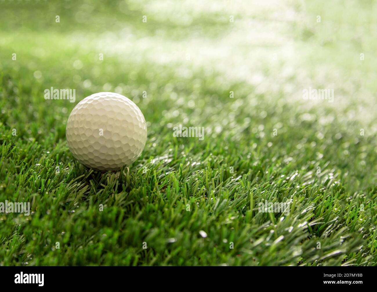 Golf ball on green course lawn, sunlight reflections, close up view ...