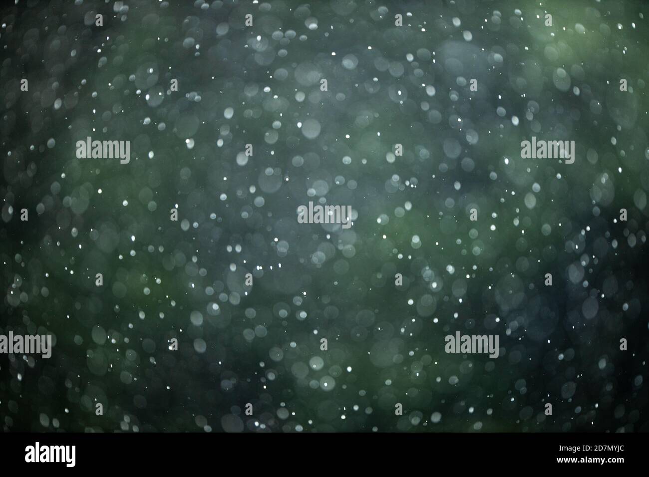 Rain falling from the sky, bringint the very needed humidity to the ...