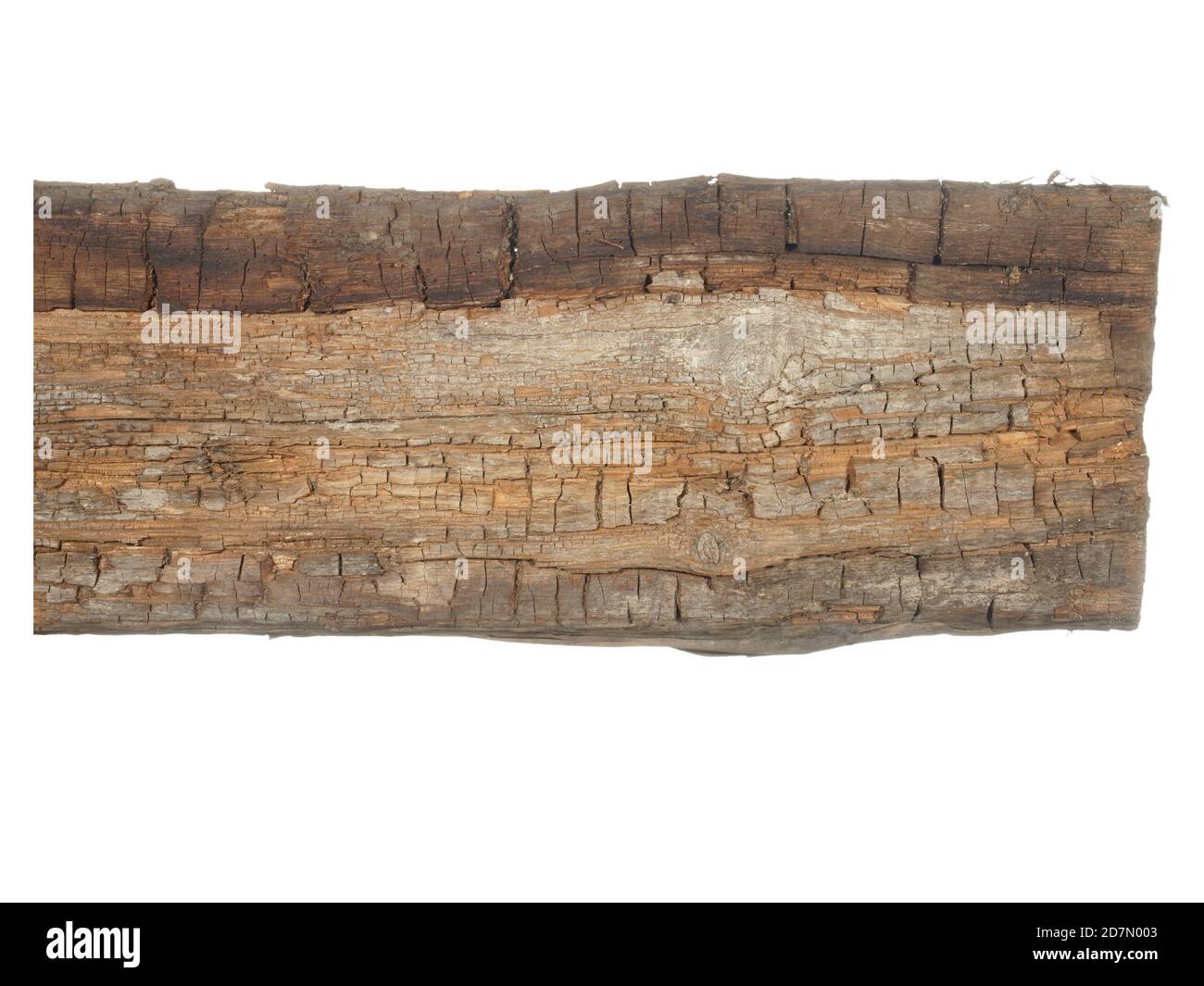Rotten board isolated on white background Stock Photo - Alamy