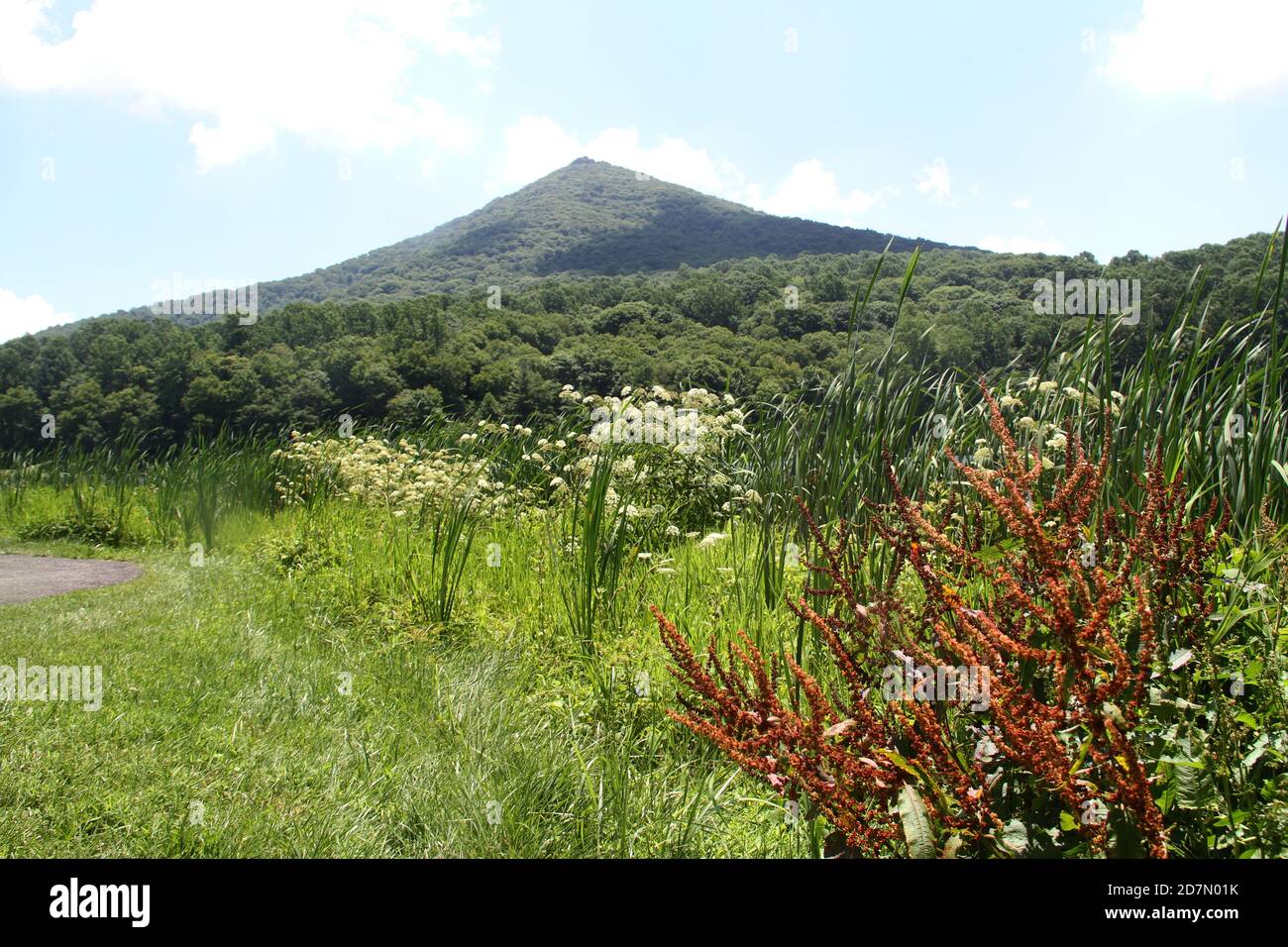 Peaks Of Otter High Resolution Stock Photography and Images - Alamy