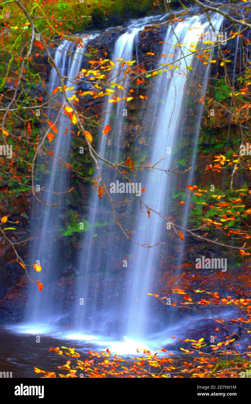 Breathtaking - Waterfall - Serene - Animals at Play - Energy - Crystal ...