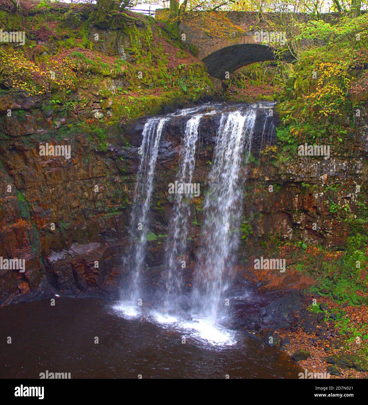 Breathtaking - Waterfall - Serene - Animals at Play - Energy - Crystal ...