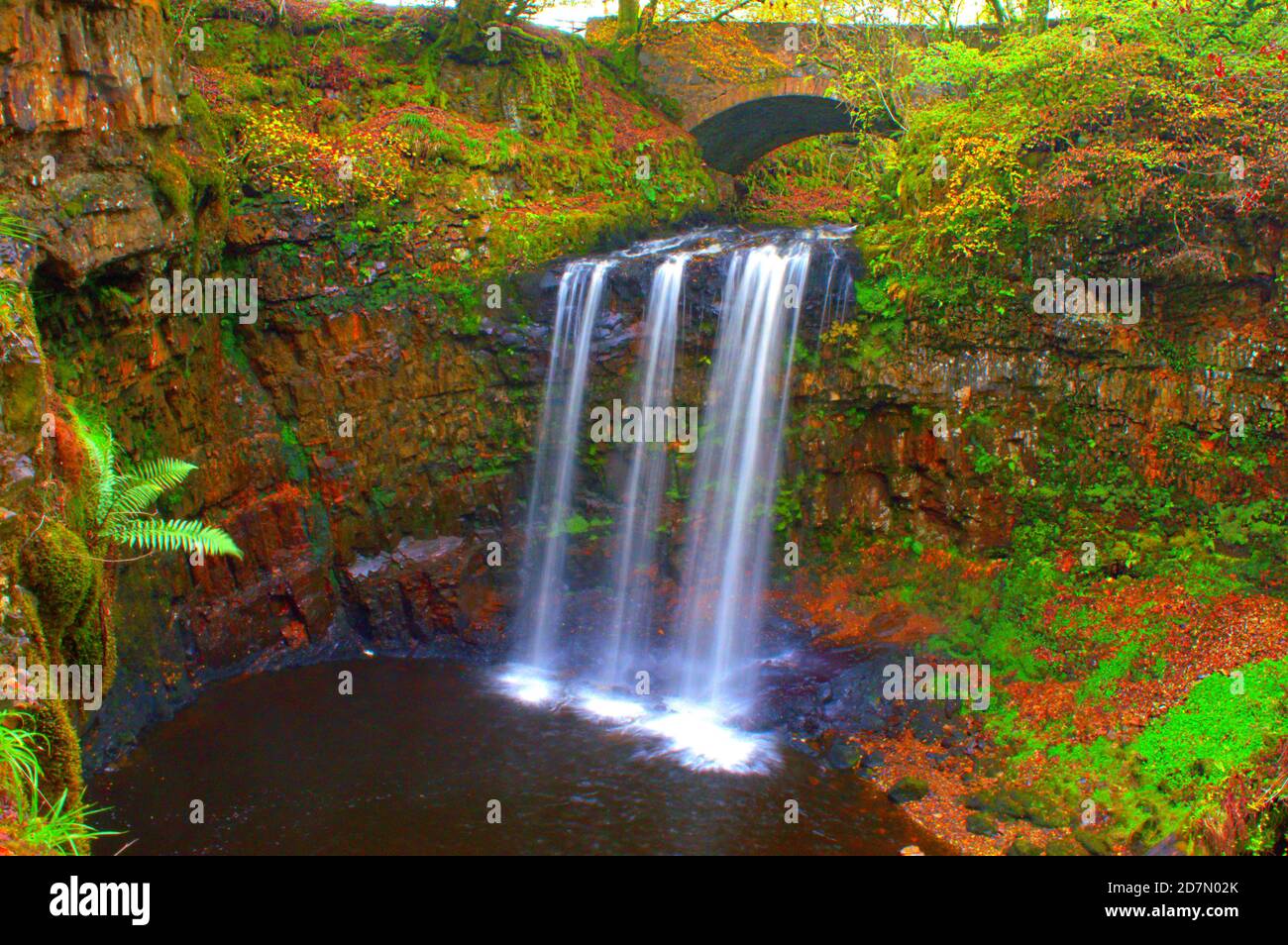 Breathtaking - Waterfall - Serene - Animals at Play - Energy - Crystal ...