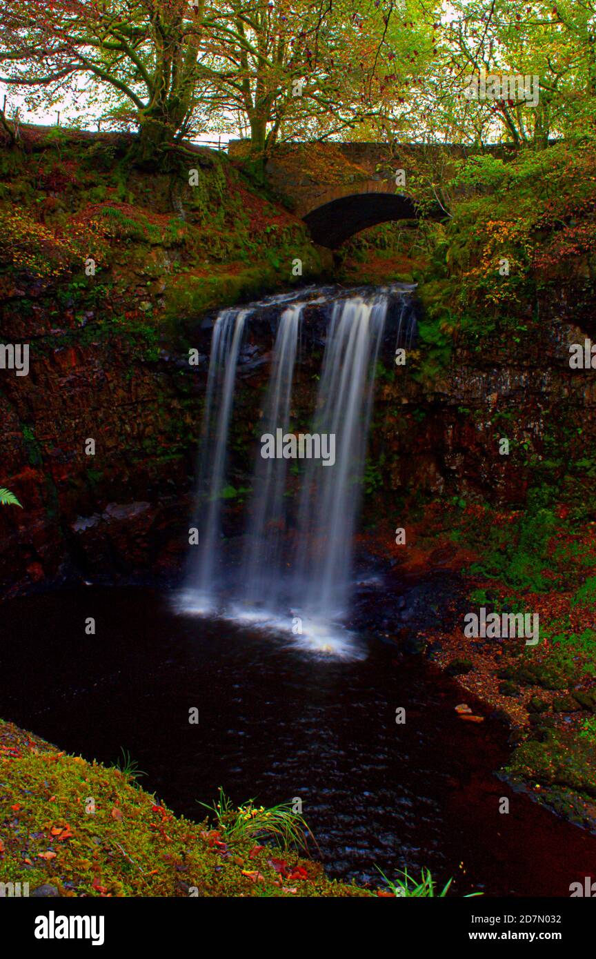 Breathtaking - Waterfall - Serene - Animals at Play - Energy - Crystal ...