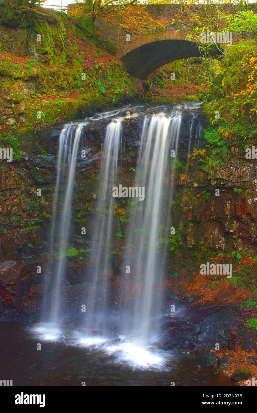 Breathtaking - Waterfall - Serene - Animals at Play - Energy - Crystal ...