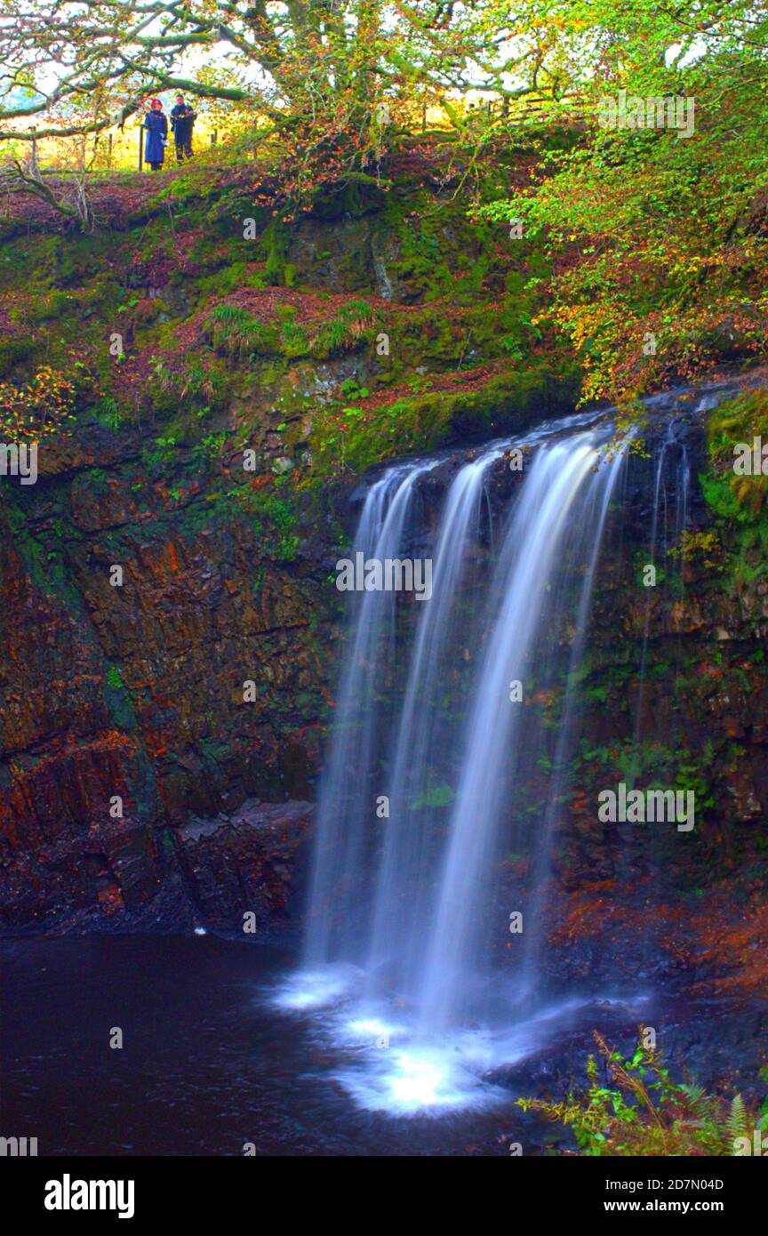 Breathtaking - Waterfall - Serene - Animals at Play - Energy - Crystal ...