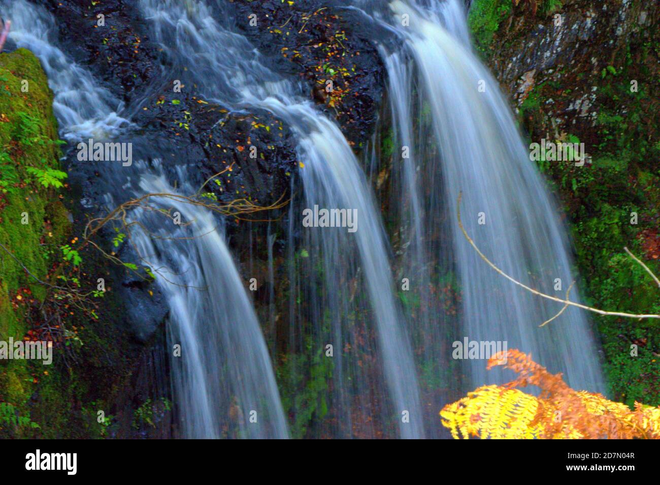 Breathtaking - Waterfall - Serene - Animals at Play - Energy - Crystal ...