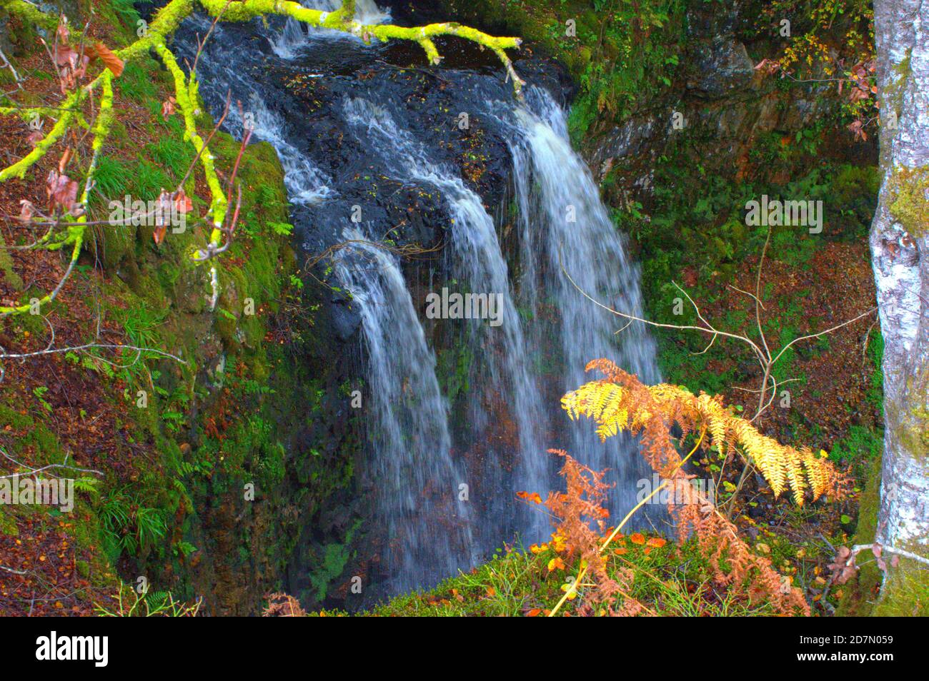 Breathtaking - Waterfall - Serene - Animals at Play - Energy - Crystal ...
