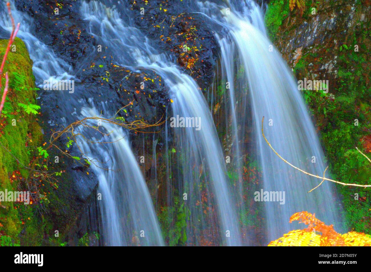 Breathtaking - Waterfall - Serene - Animals at Play - Energy - Crystal ...