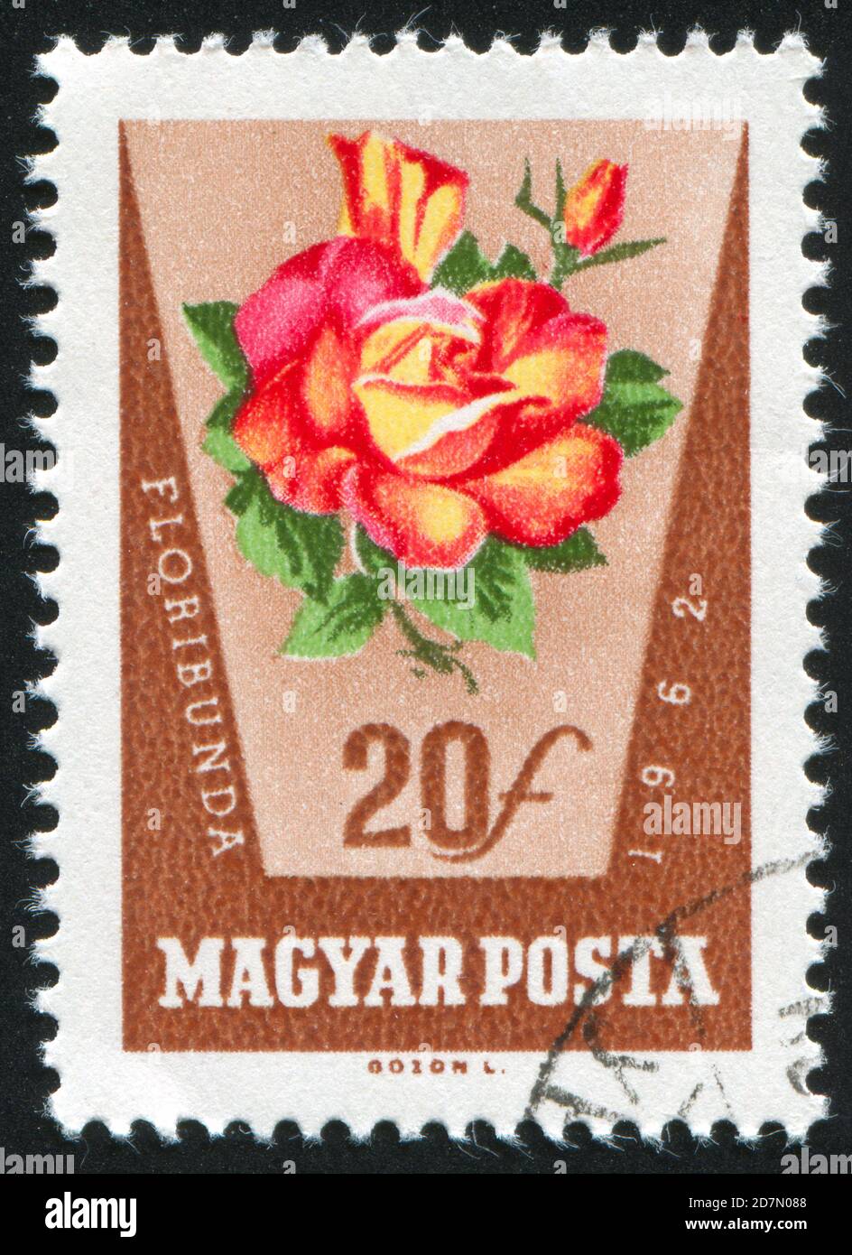 HUNGARY - CIRCA 1959: stamp printed by Hungary, shows flower rose ...