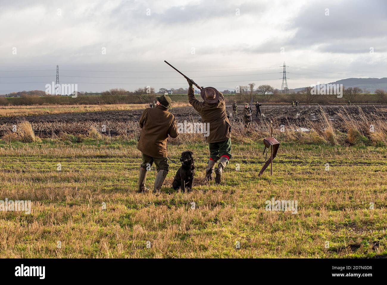 Game Shooting In Lancashire High Resolution Stock Photography and ...