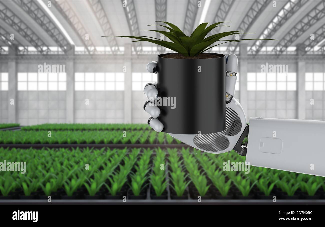 Agriculture technology concept with 3d rendering robotic arm in ...