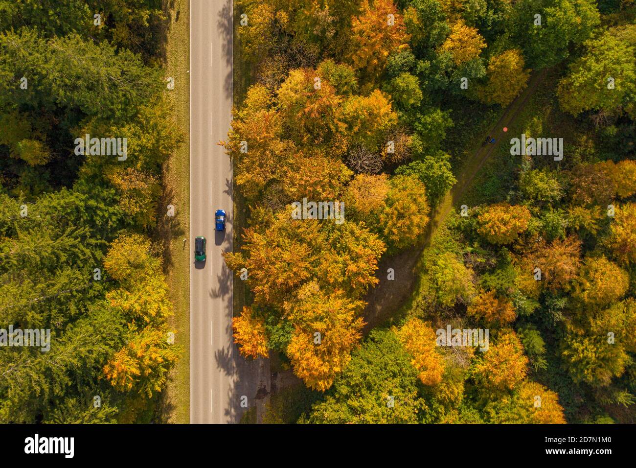Autumn colors of fall trees besides a straight road with two oncoming ...